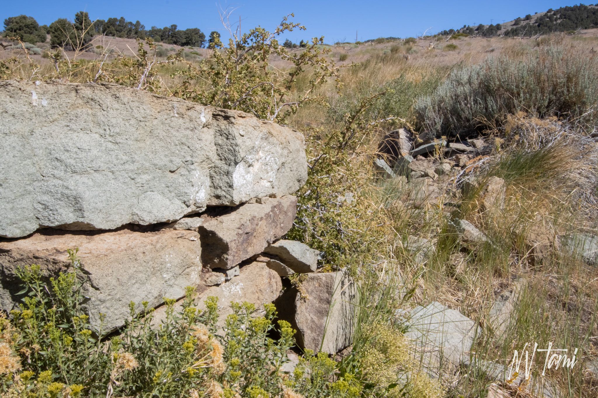 Como, Nevada - Nevada Ghost Towns & Beyond