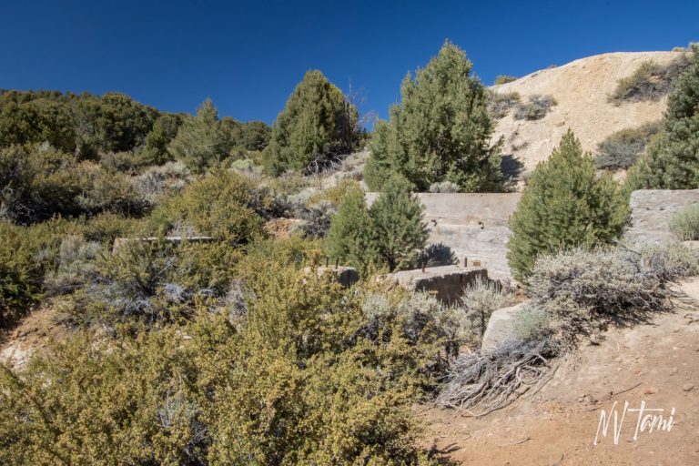 Como, Nevada - Nevada Ghost Towns & Beyond