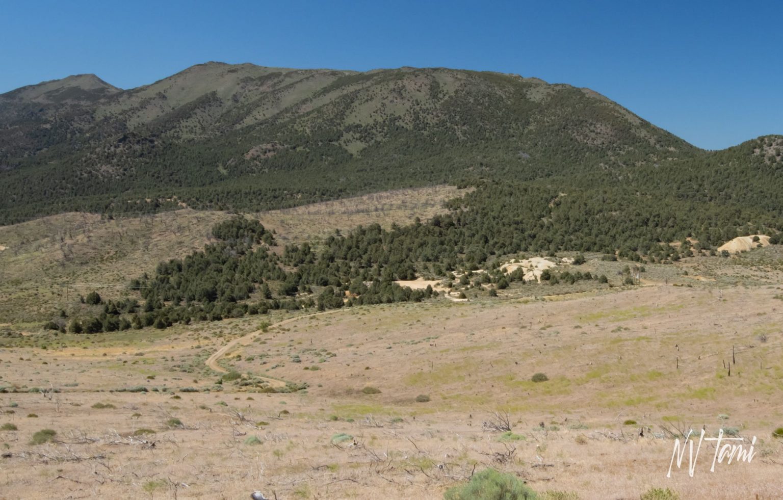 Como, Nevada - Nevada Ghost Towns & Beyond