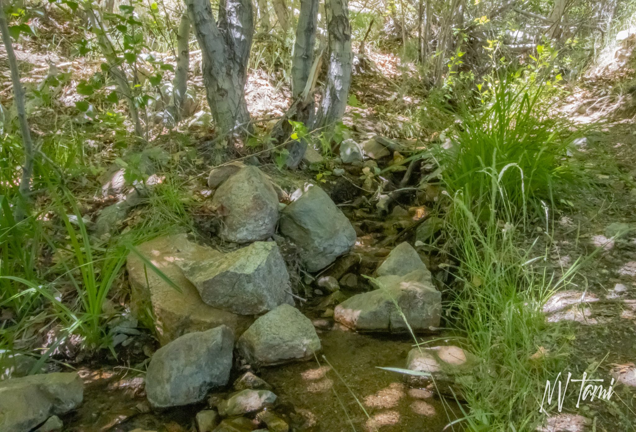 Como Road Miner's Cabin, Nevada - Nevada Ghost Towns & Beyond