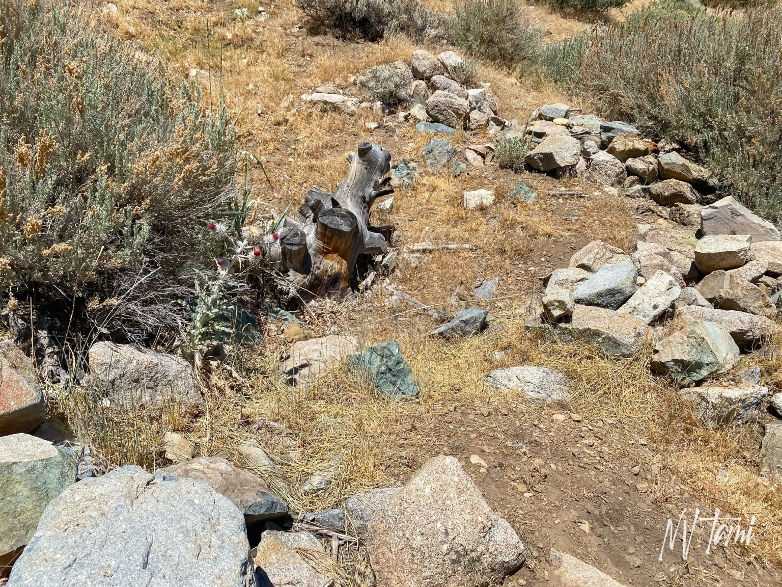 Como, Nevada - Nevada Ghost Towns & Beyond