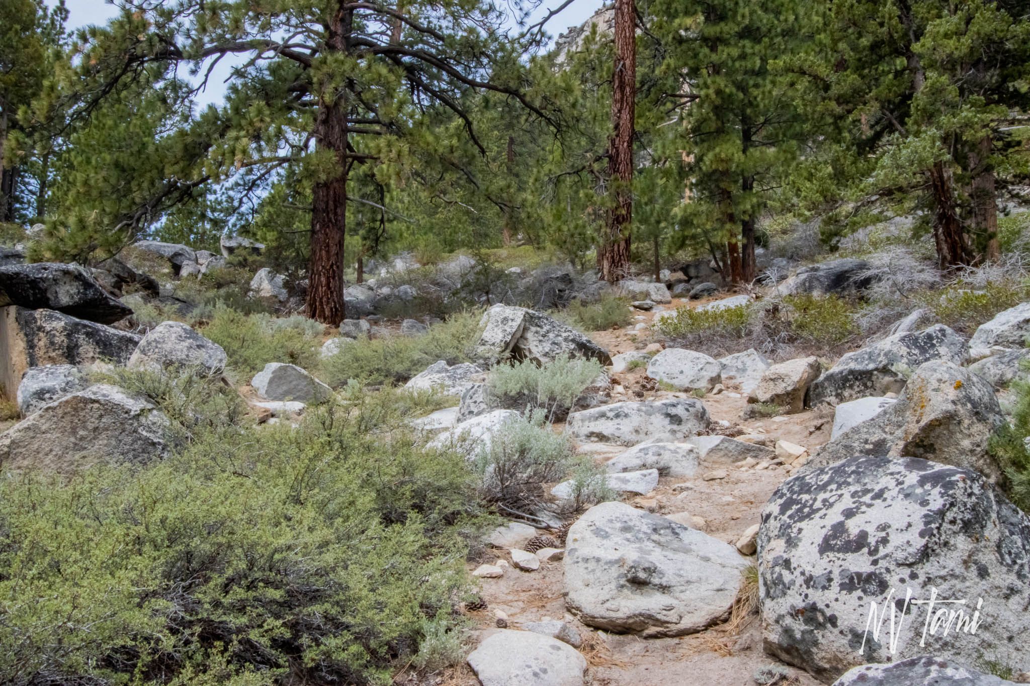 Snowshoe Thompson's Cave - Nevada Ghost Towns & Beyond