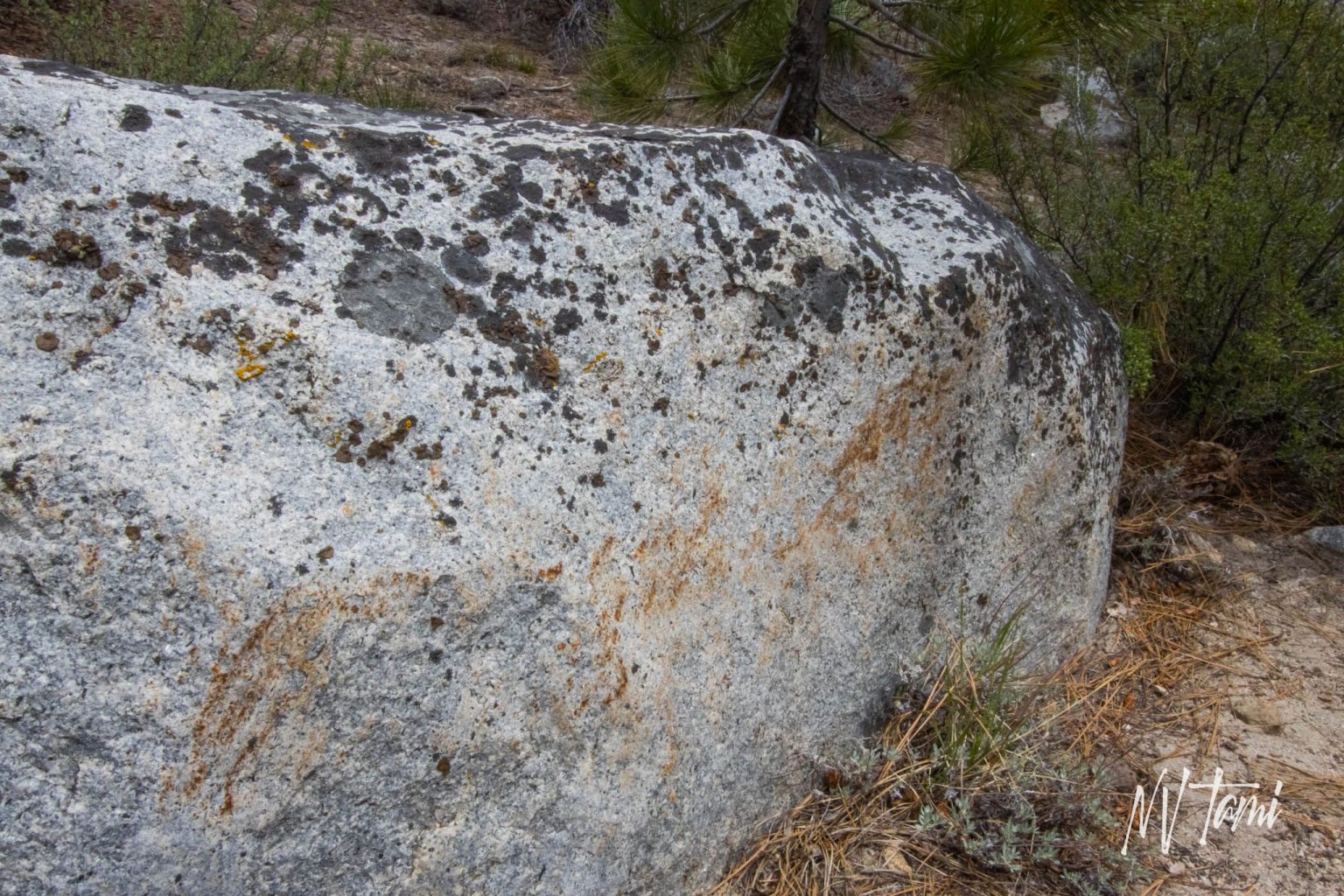 Snowshoe Thompson's Cave - Nevada Ghost Towns & Beyond