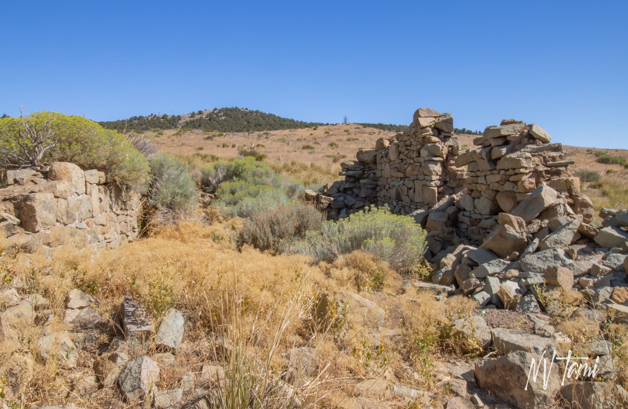 Como, Nevada - Nevada Ghost Towns & Beyond