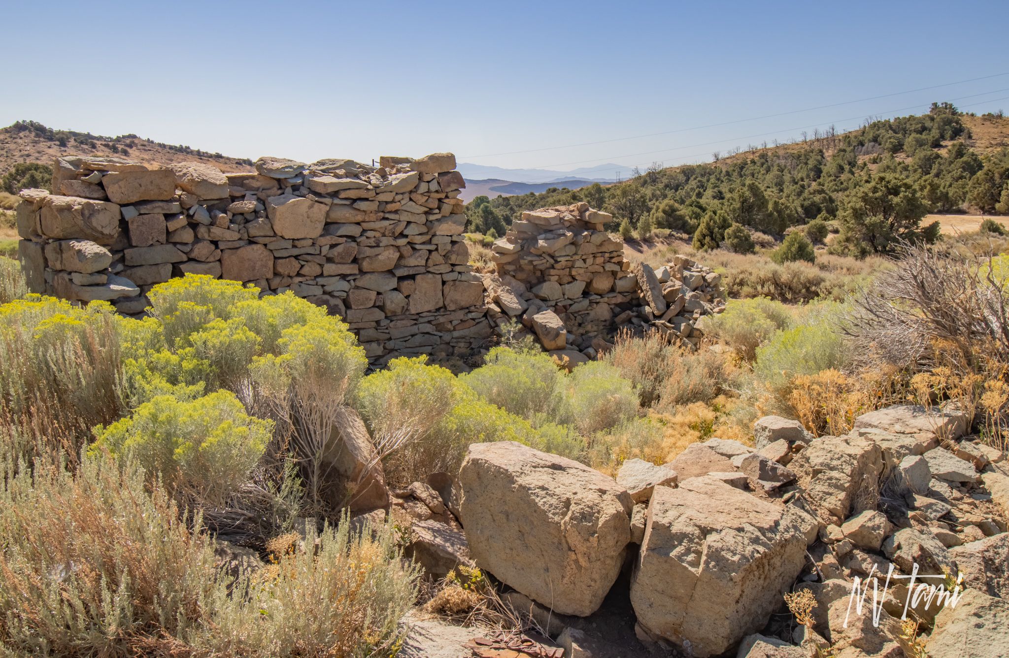 Como, Nevada - Nevada Ghost Towns & Beyond