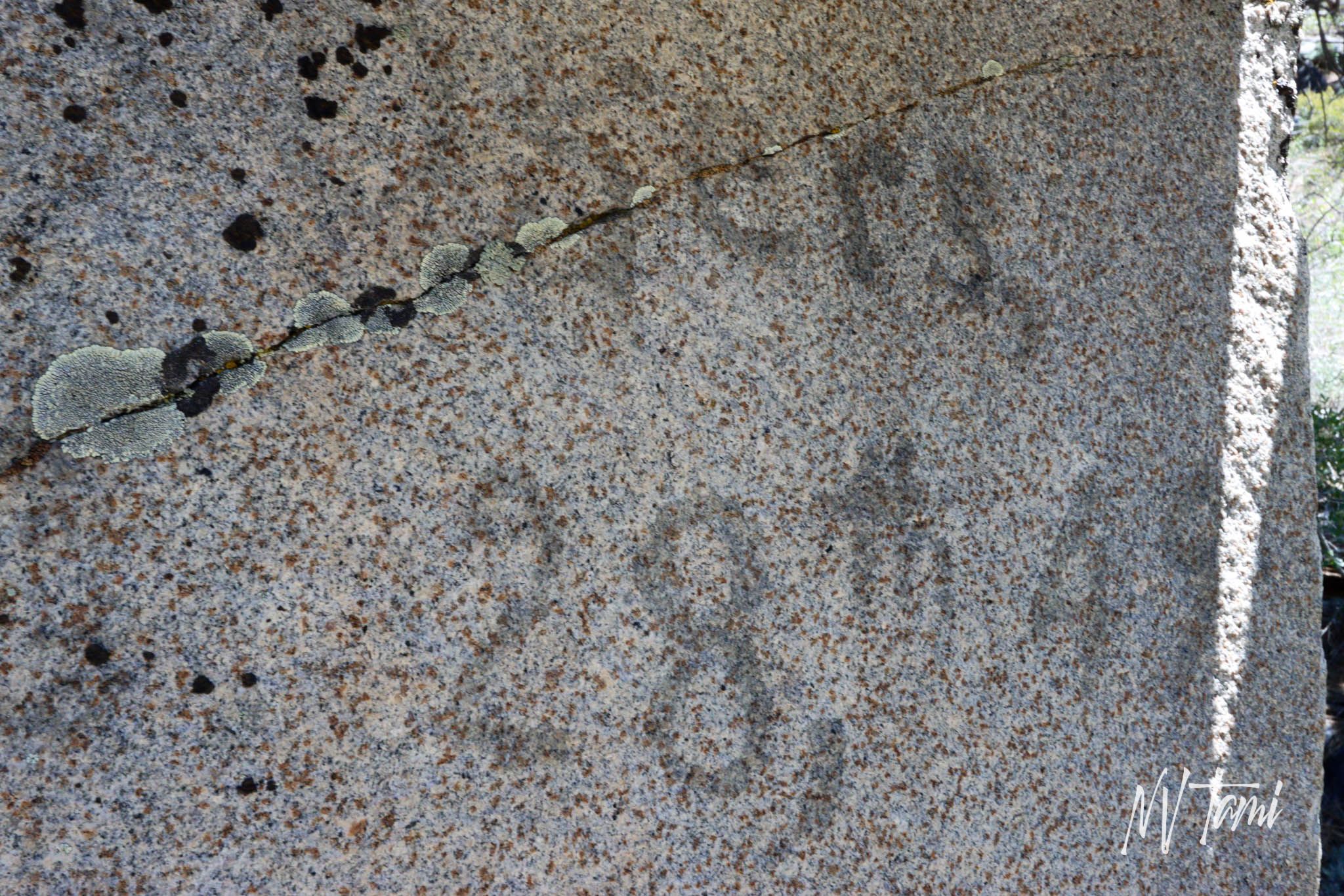 Carson River Route: Pioneers & 49ers - Nevada Ghost Towns & Beyond