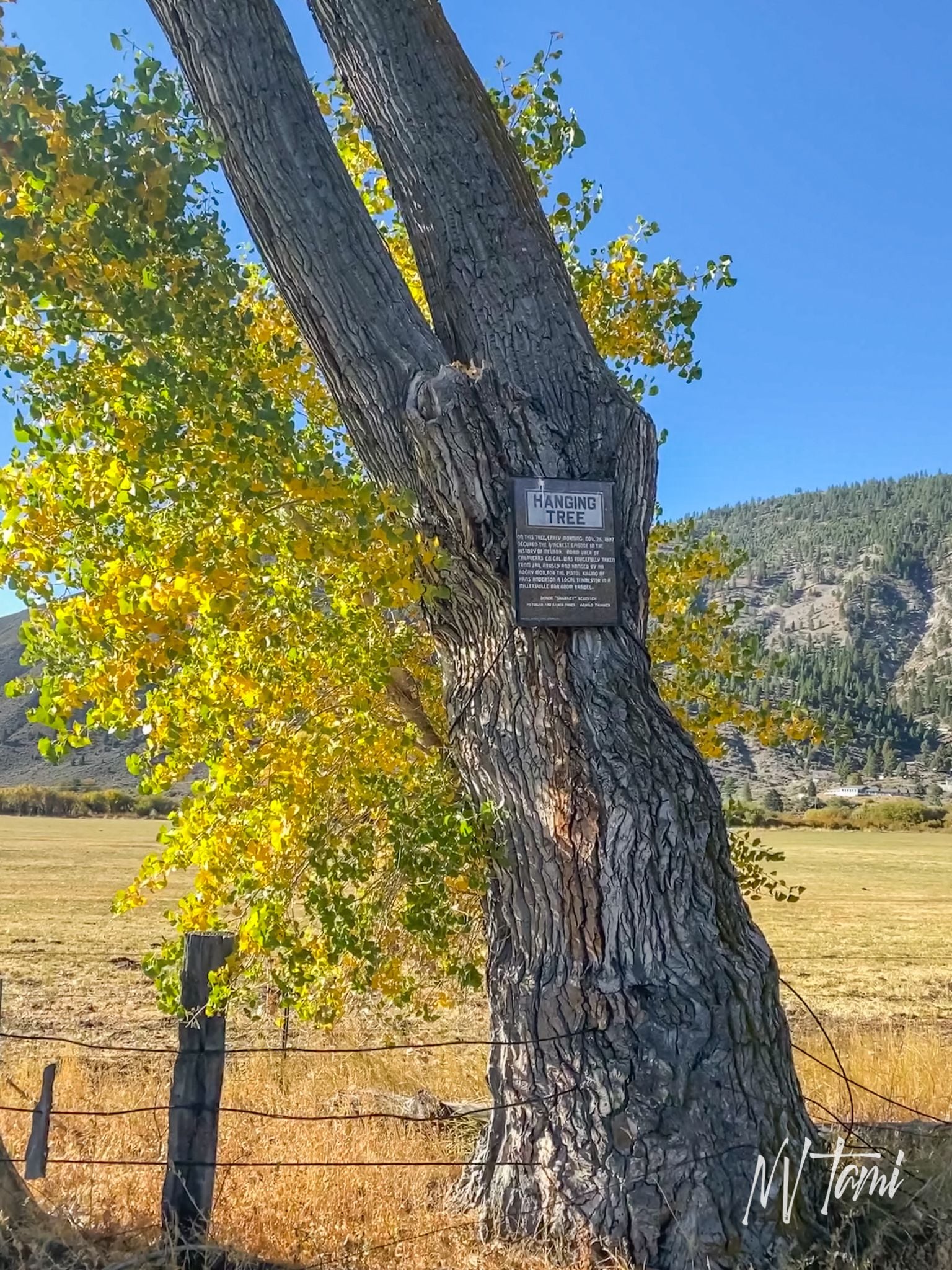 Hangman's Bridge: Vigilante Justice in Alpine County, California ...