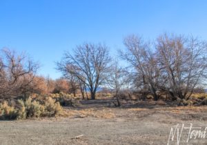 Dixie Valley: Tanks and Taquitos - Nevada Ghost Towns & Beyond