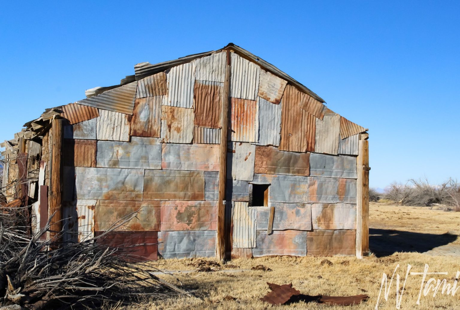 Dixie Valley: Tanks and Taquitos - Nevada Ghost Towns & Beyond