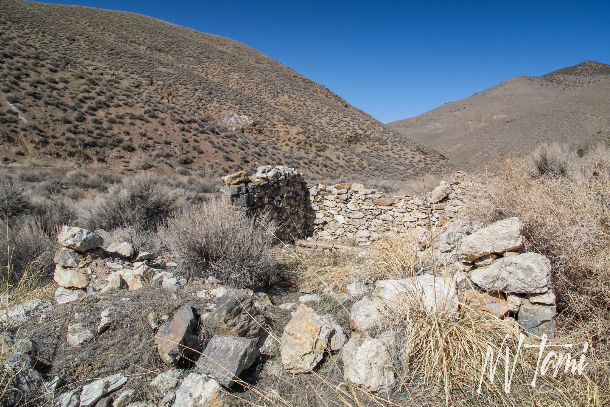 Cox Canyon, Nevada - Nevada Ghost Towns & Beyond