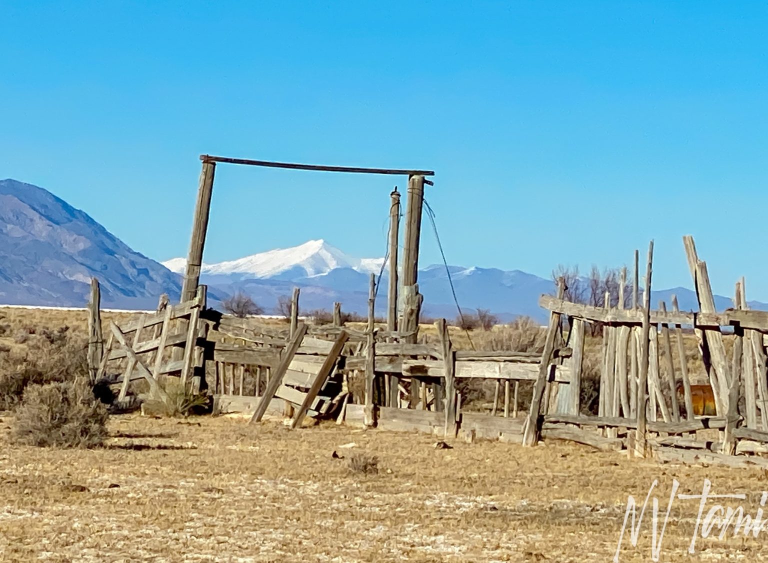 Dixie Valley: Tanks and Taquitos - Nevada Ghost Towns & Beyond