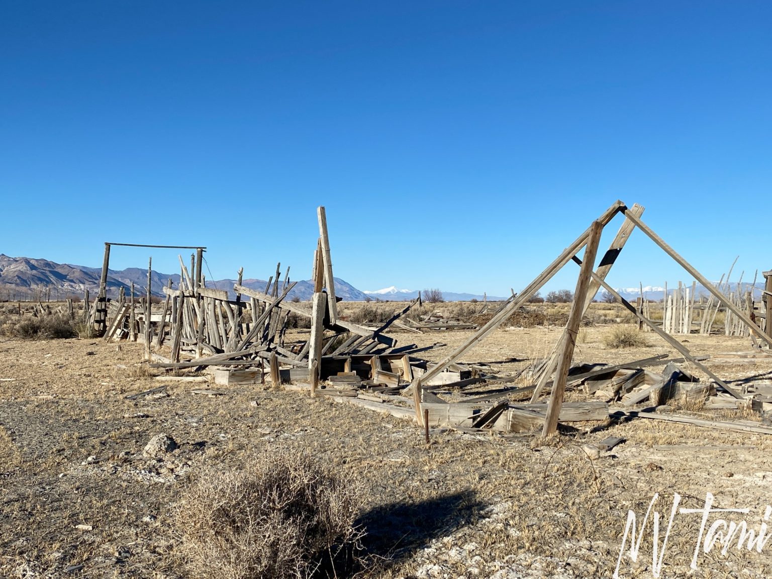 Dixie Valley: Tanks and Taquitos - Nevada Ghost Towns & Beyond