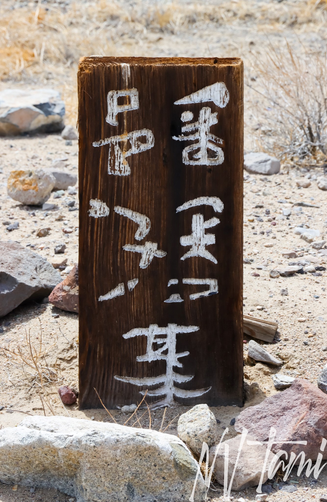 Chinese Grave: Mineral County, Nevada - Nevada Ghost Towns & Beyond