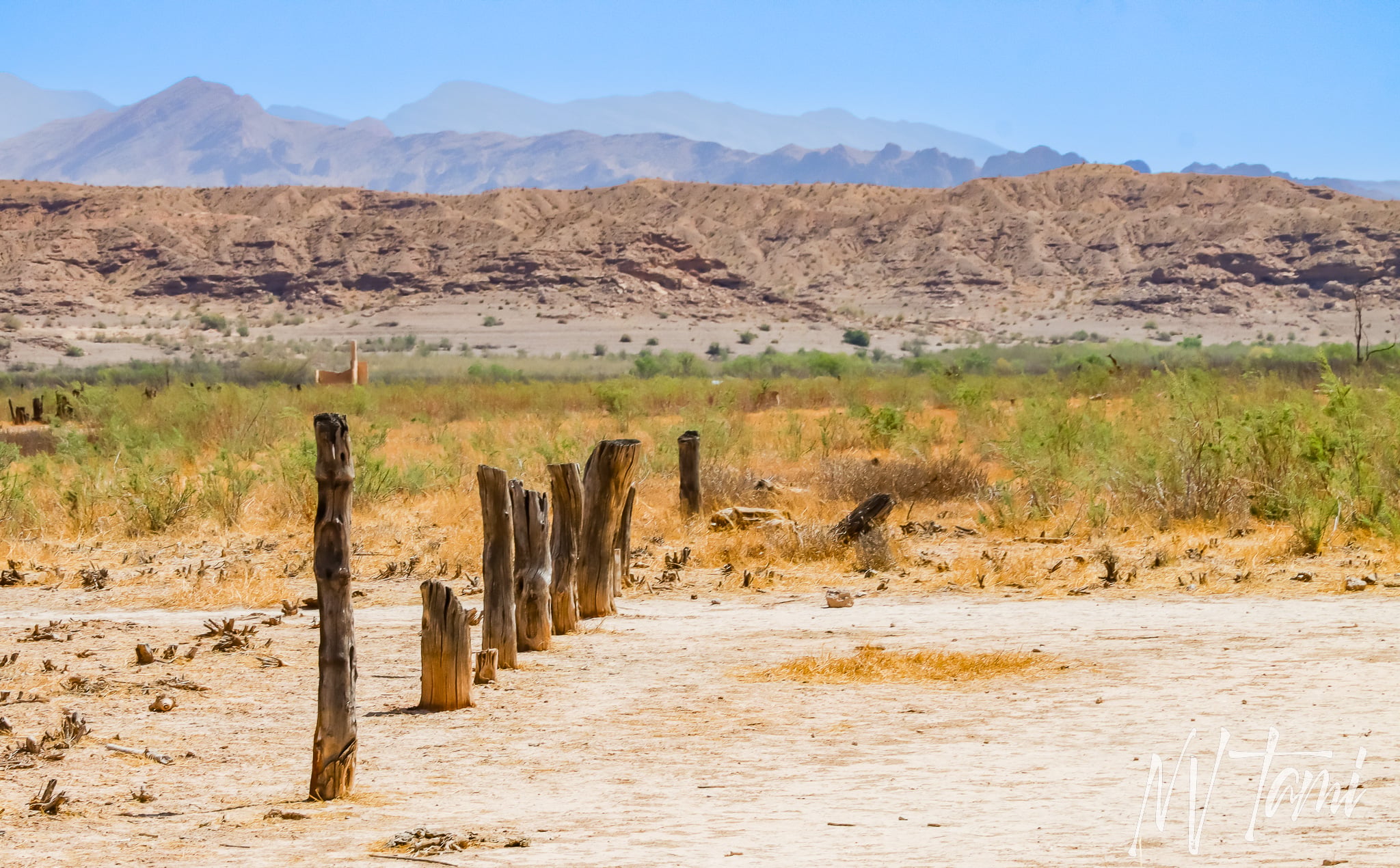 St. Thomas Ghost Town - Nevada Ghost Towns & Beyond
