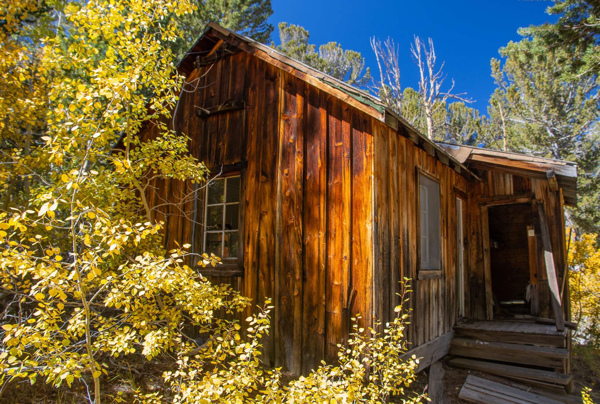 Lesser-Known Mono Ghost Towns - Nevada Ghost Towns & Beyond