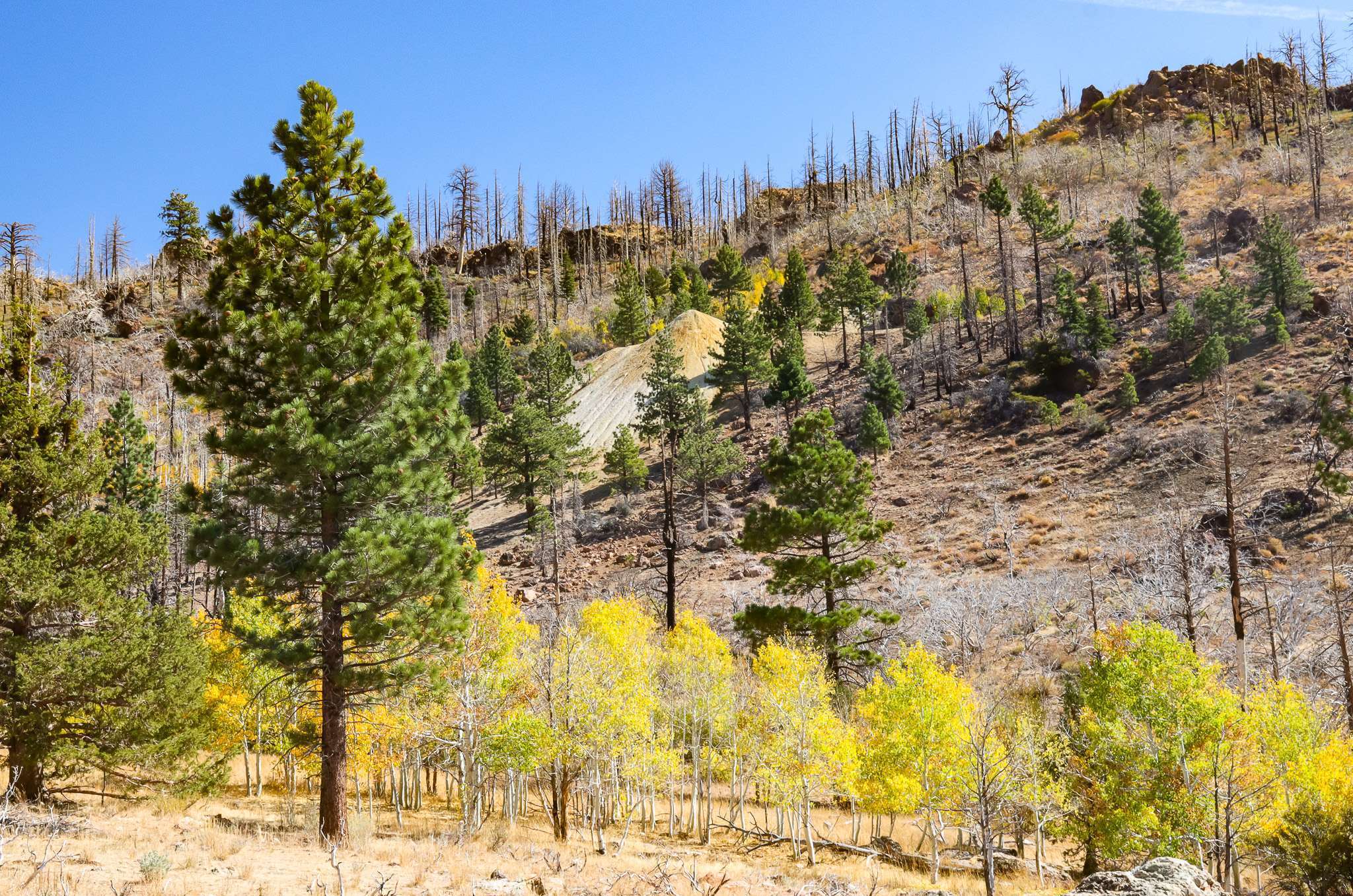 Top 10 Ghost Towns to visit this Fall - NEVADA GHOST TOWNS & BEYOND