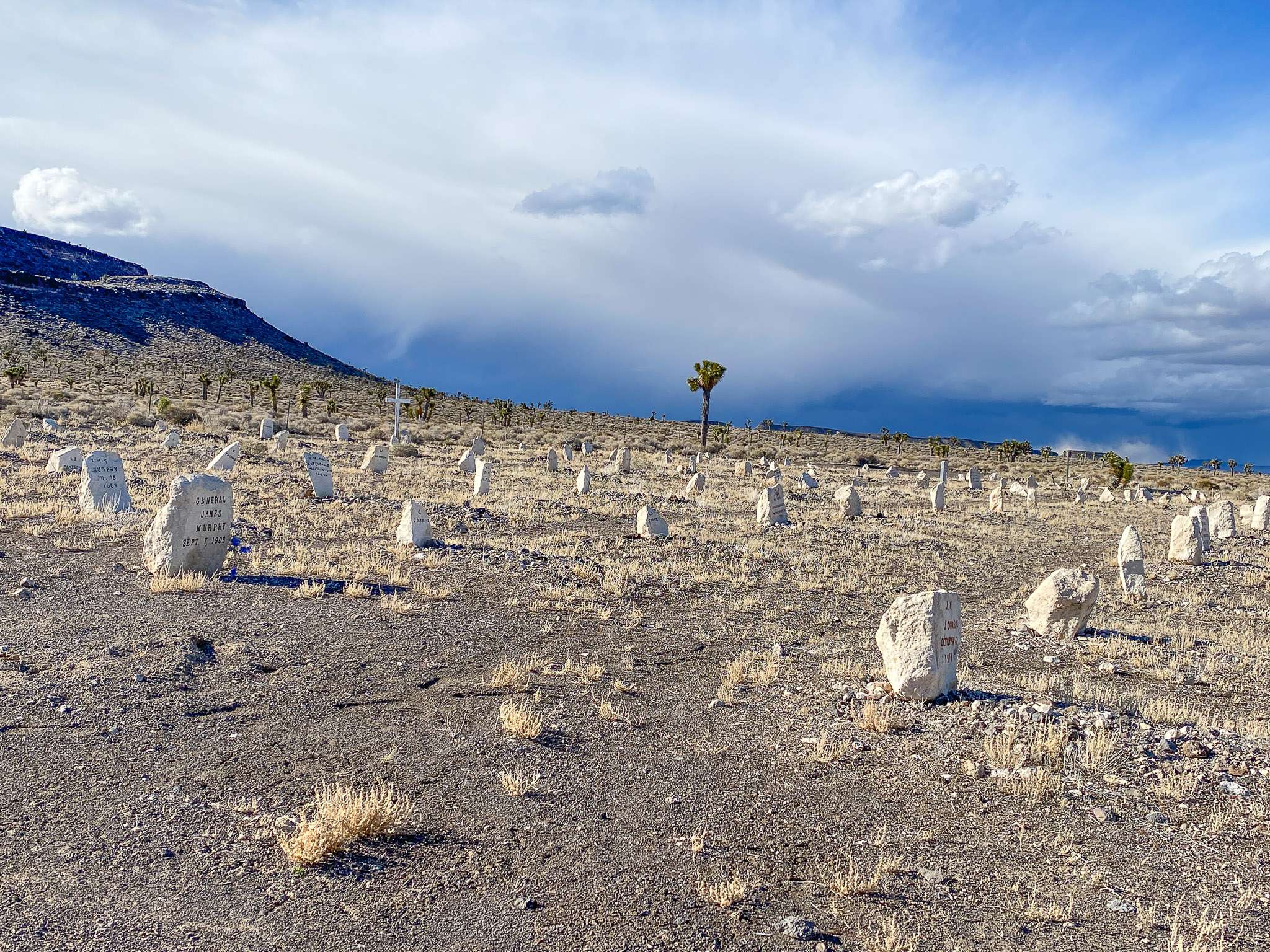 Man Died Eating Library Paste & Goldfields "Official Ghouls" - Nevada ...