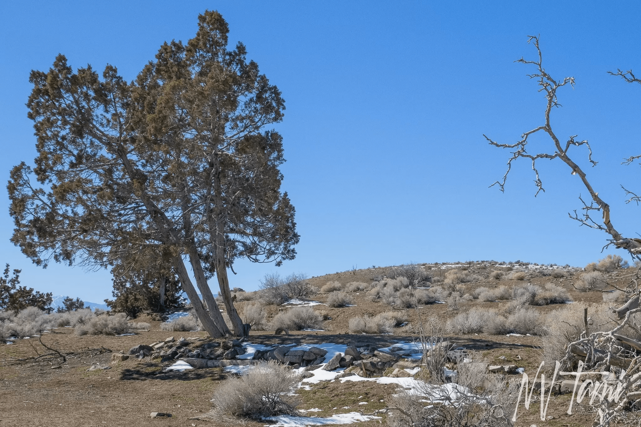 Nevada's Highway 95 Ghost Towns - Nevada Ghost Towns & Beyond