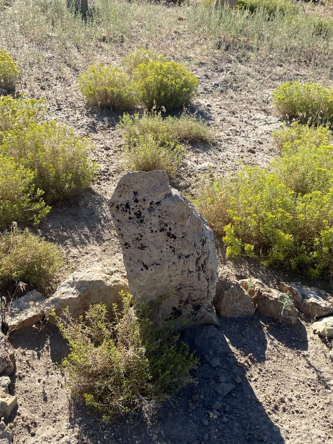 Nevada State Prison & Cemetery - Nevada Ghost Towns & Beyond